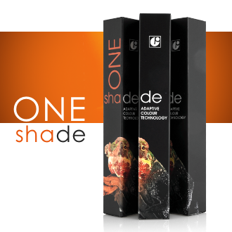 ONEshade composite - Olident